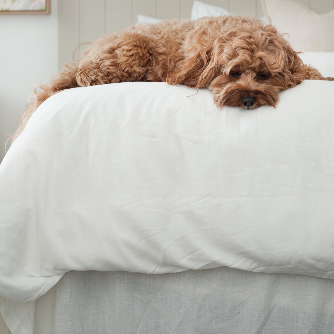 Extra Deep Sheets – Pure Zone